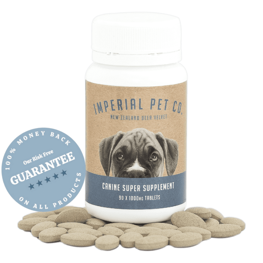 Canine Joint Supplement | Imperial Pet Co.